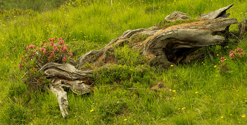 “Historia del miedo” d’Eduardo Galeano | Sophia Blasco: Assessora i ...